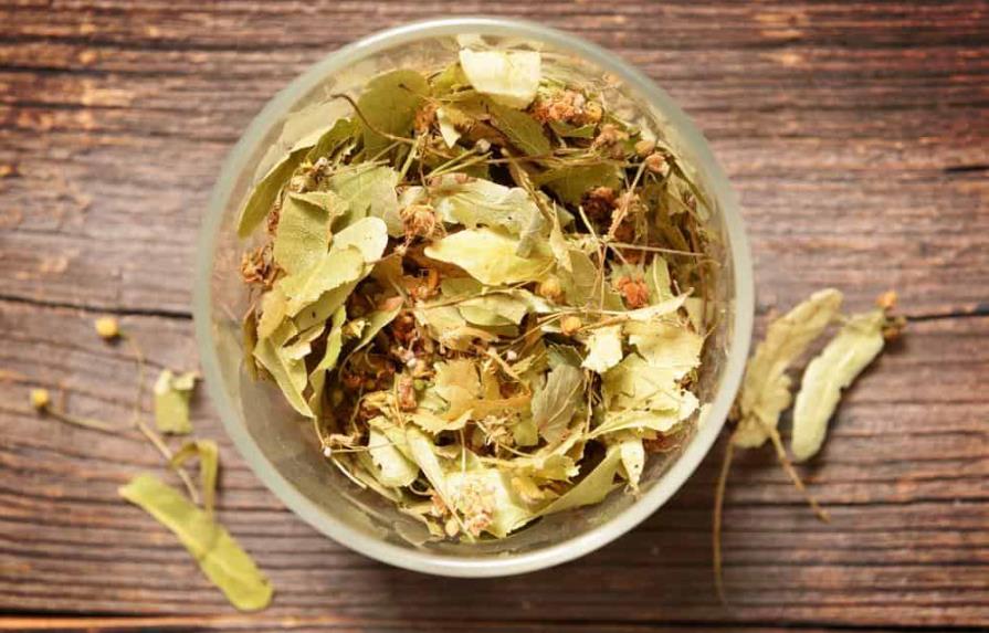 Beneficios del tilo para la salud - Diario Libre