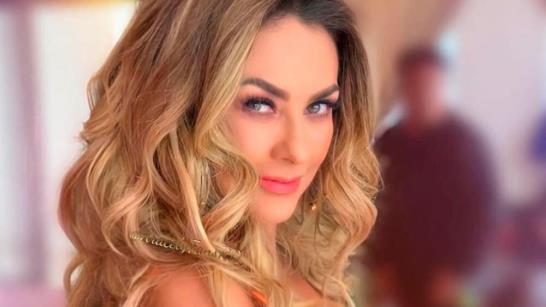 Aracely Arámbula: "Yo tengo todo lo que a ti te falta" - Diario Libre