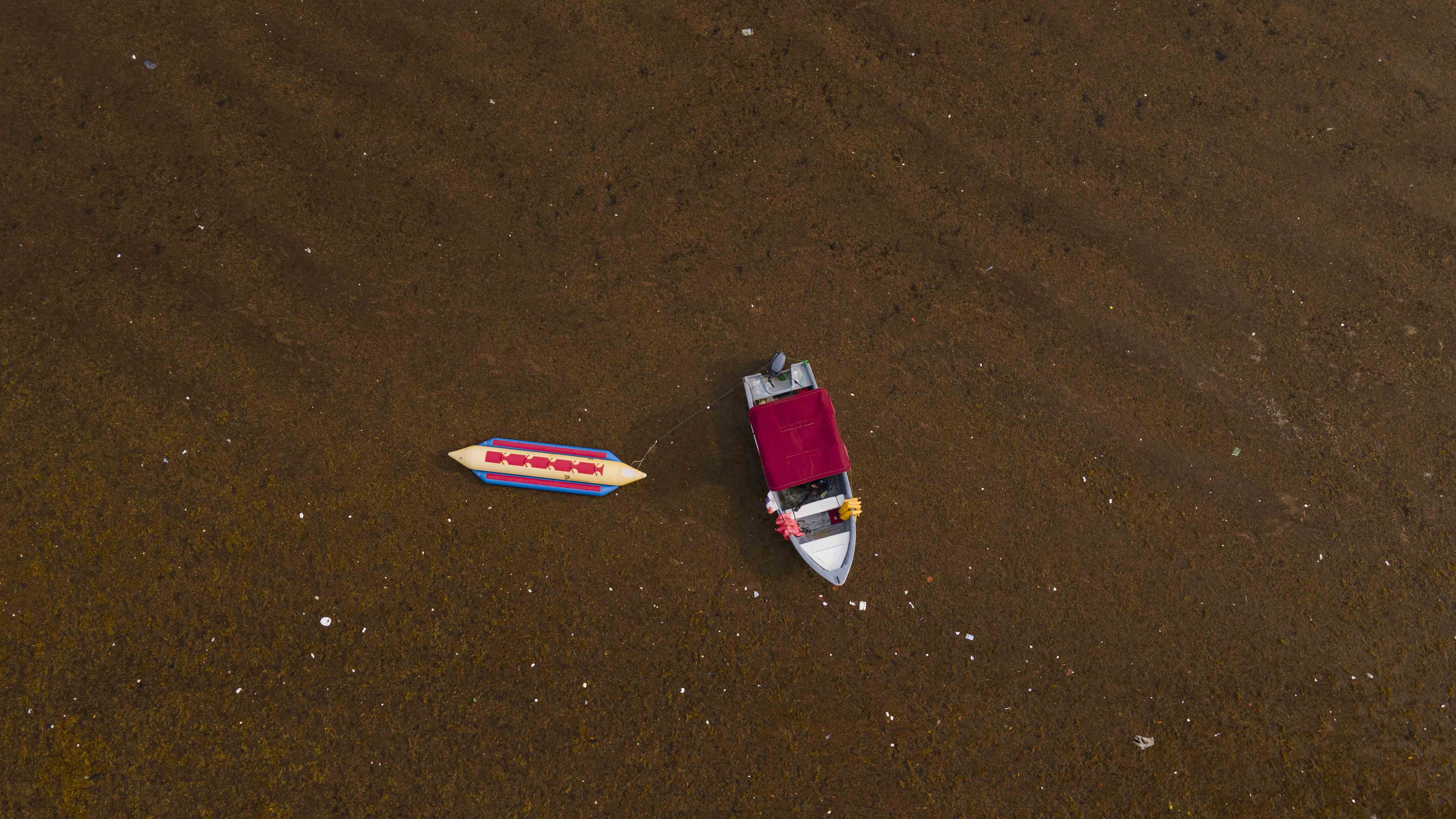 Premio Nacional Fotoperiodismo 2024: ganadores y mención honorífica ...