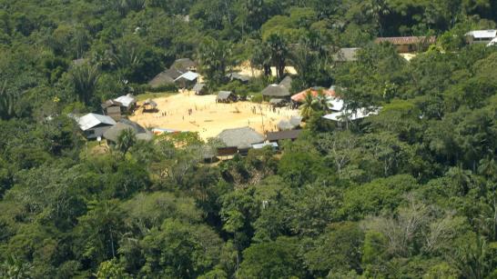 Científicos estudian visión del pueblo Sarayaku en Ecuador - Diario Libre