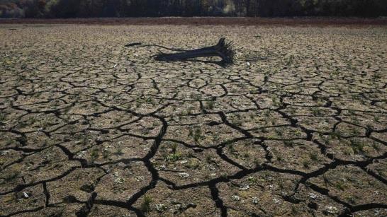 Las sequías de larga duración serán la "nueva normalidad" climática ...