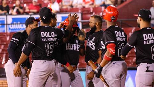 Tabla de posiciones Lidom: Leones a un paso de la serie final - Diario ...