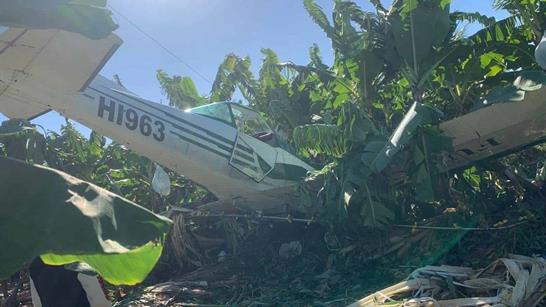 Piloto resulta ileso tras avioneta precipitarse en finca - Diario Libre