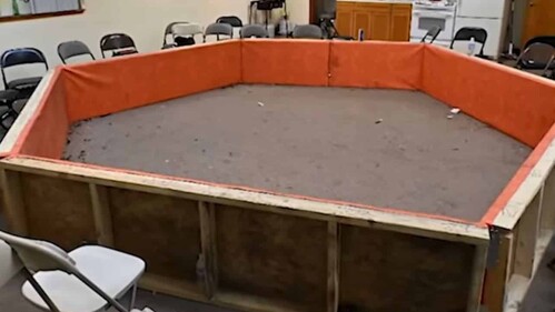 Operación ilegal de peleas de gallos y apuestas en Connecticut - Diario ...