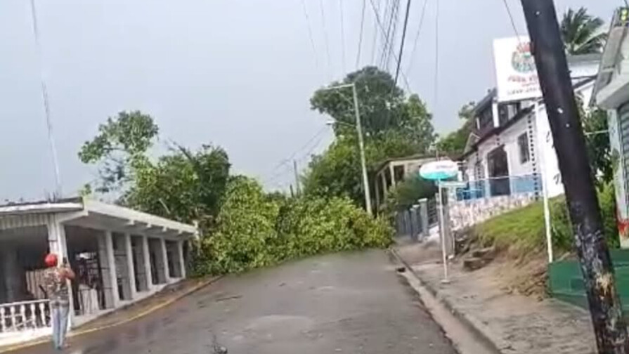 Tornado en Loma de Cabrera causa daños y árboles caídos - Diario Libre