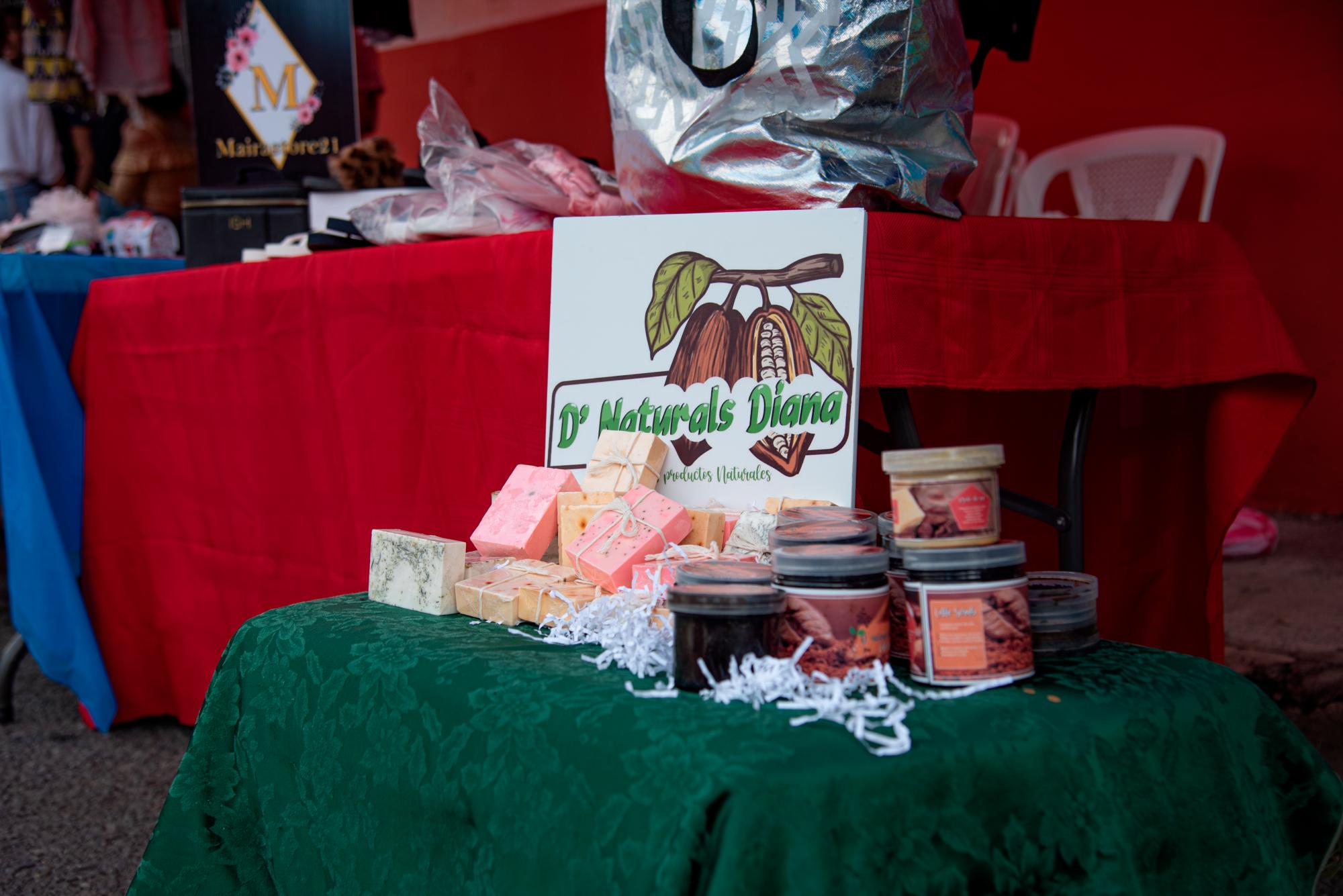 Siete emprendedoras realizan bazar en Alma Rosa II - Diario Libre