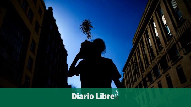 Qué Permite Y Qué Prohíbe La Ley De Consumo Lúdico De Marihuana En