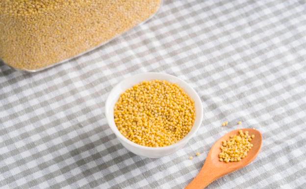 El mijo y su poder contra enfermedades cardiovasculares - Diario Libre