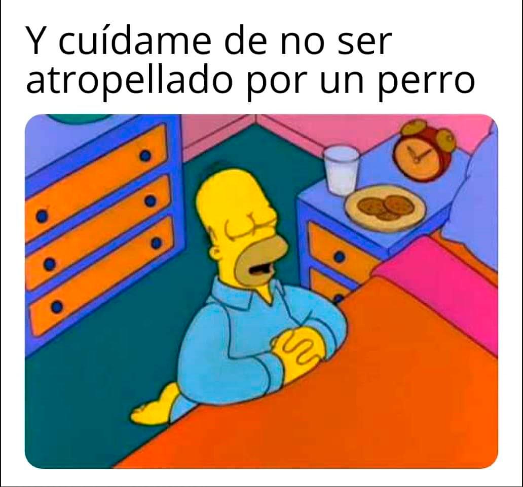 Videos y memes de perro que “atropelló” a hombre se hizo viral en las ...