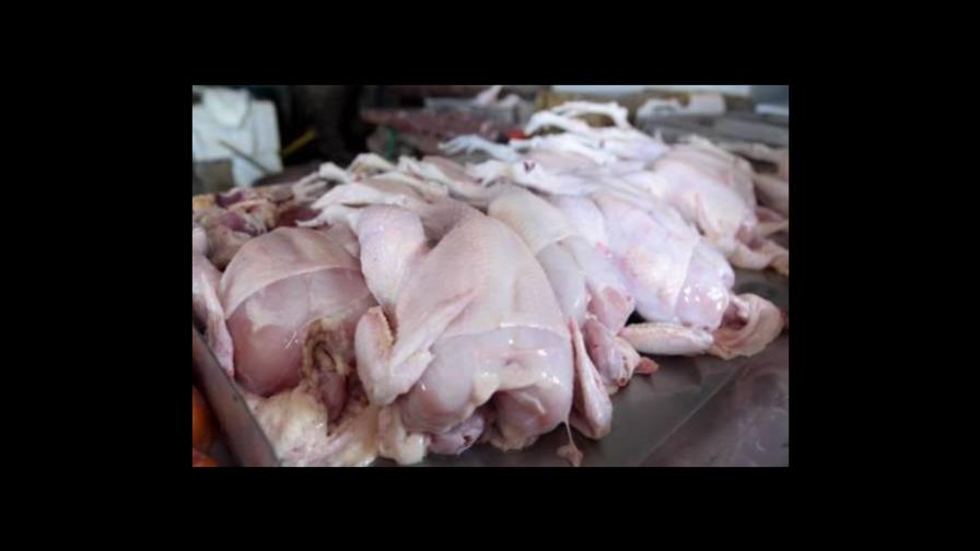 La libra de pollo aumentó más de RD$4.00 en cuarentena - Diario Libre