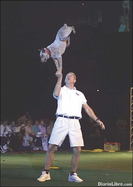 Público respalda "Dogs, el show de los perros increíbles" - Diario Libre