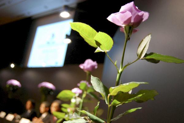 Presentan en Japón la primera rosa azul del mundo - Diario Libre