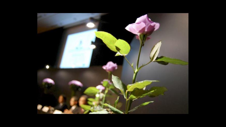 Presentan en Japón la primera rosa azul del mundo - Diario Libre