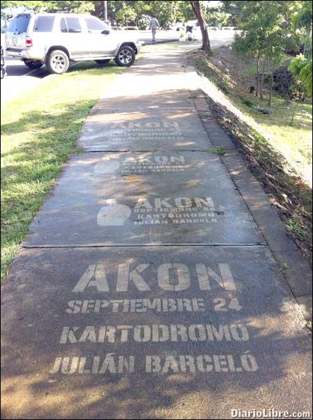 Green graffiti para Akon - Diario Libre