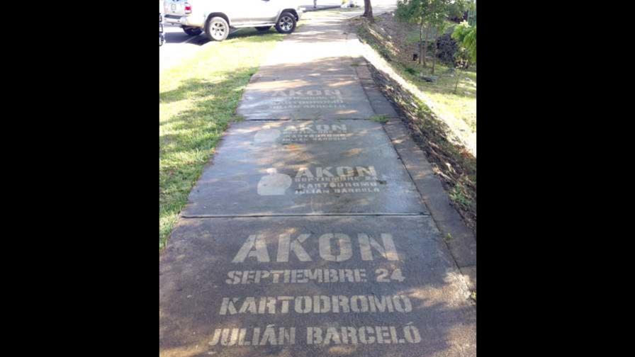 Green graffiti para Akon - Diario Libre
