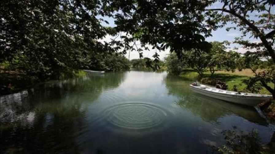 Costa Rica agrega a su riqueza natural 5,000 nuevas especies - Diario Libre