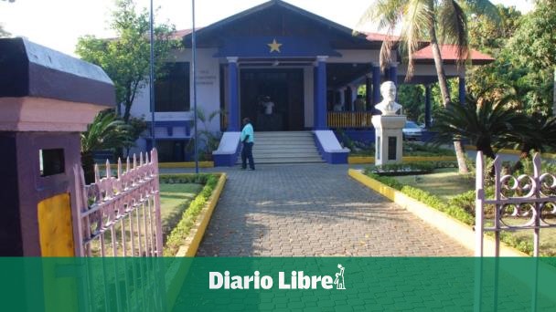 Pluma de burro y sandeces - Diario Libre