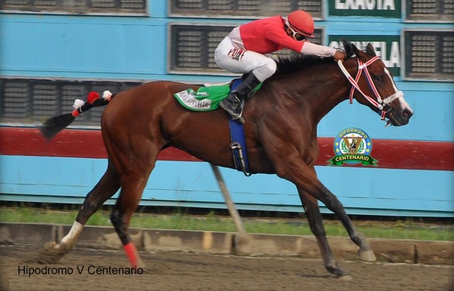 Marvelous Queen gana Clásico Día de las Madres - Diario Libre